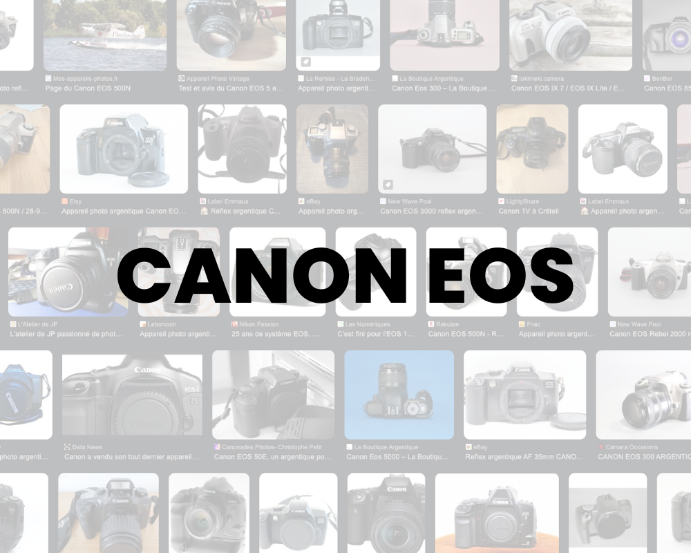 Canon EOS argentique : pourquoi ces reflex mythiques séduisent encore ...